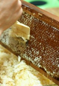 11 Must-Have Beekeeping Supplies for Beginners - Backyard Beekeeping